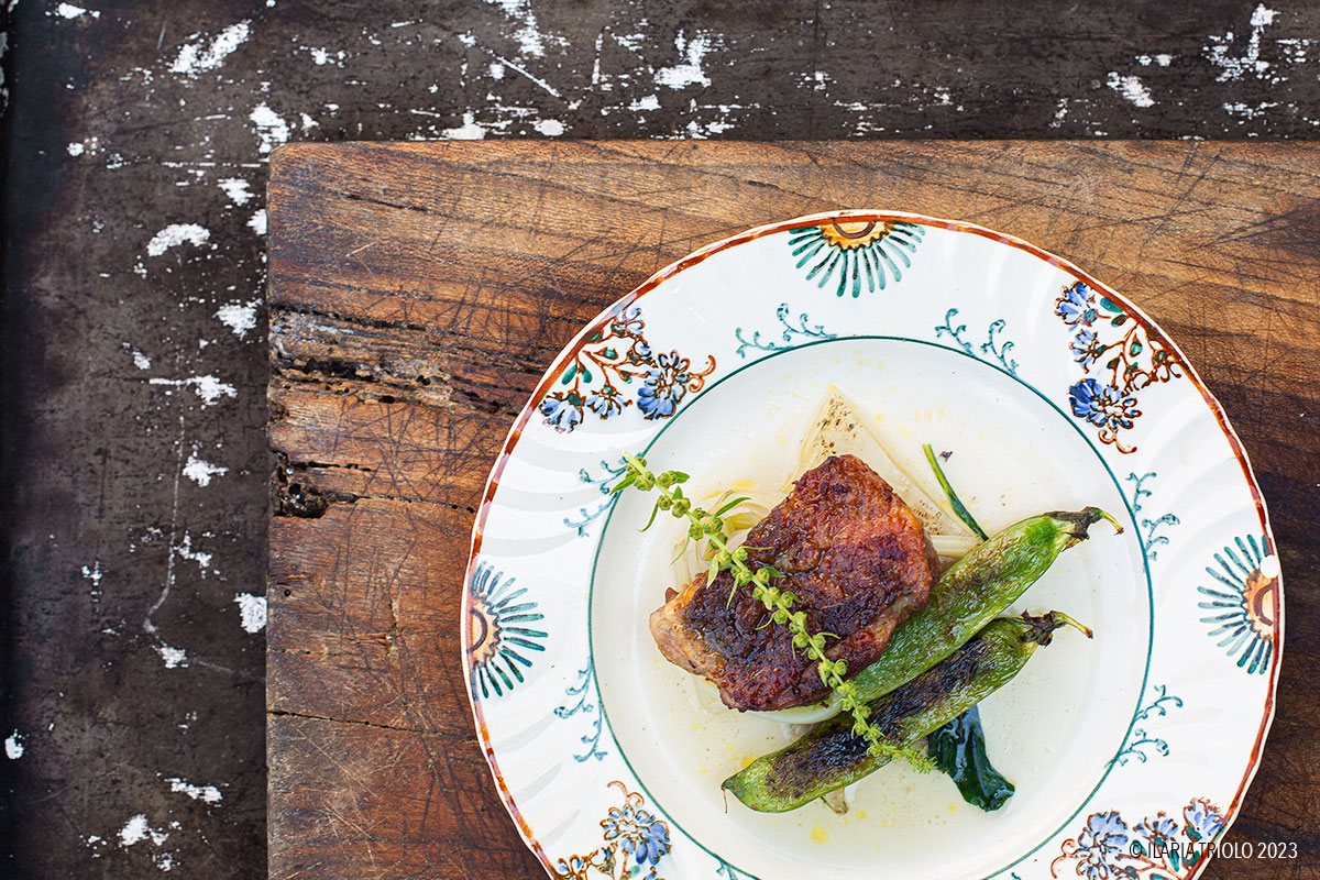 Culinaire | Ilaria Triolo